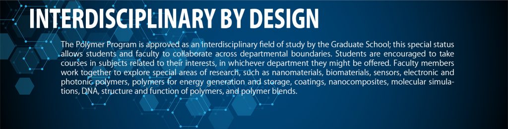 About | Polymer Program