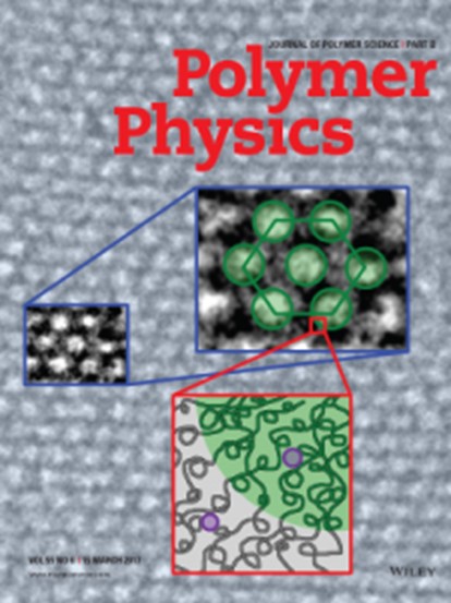 Polymer Program Research | Polymer Program